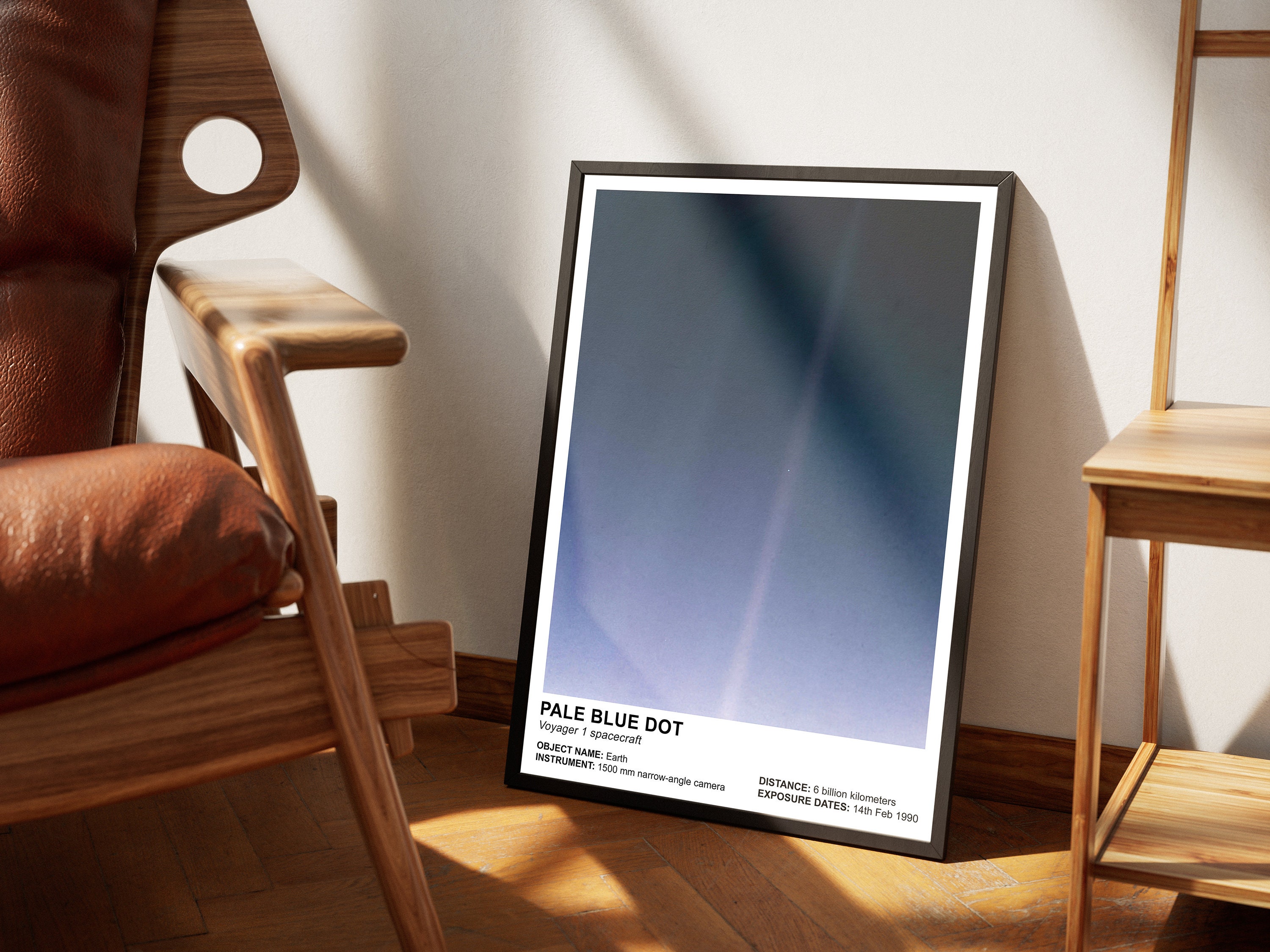 Pale Blue Dot Poster, Space Poster, Voyager 1, Carl Sagan, Astronomy ...