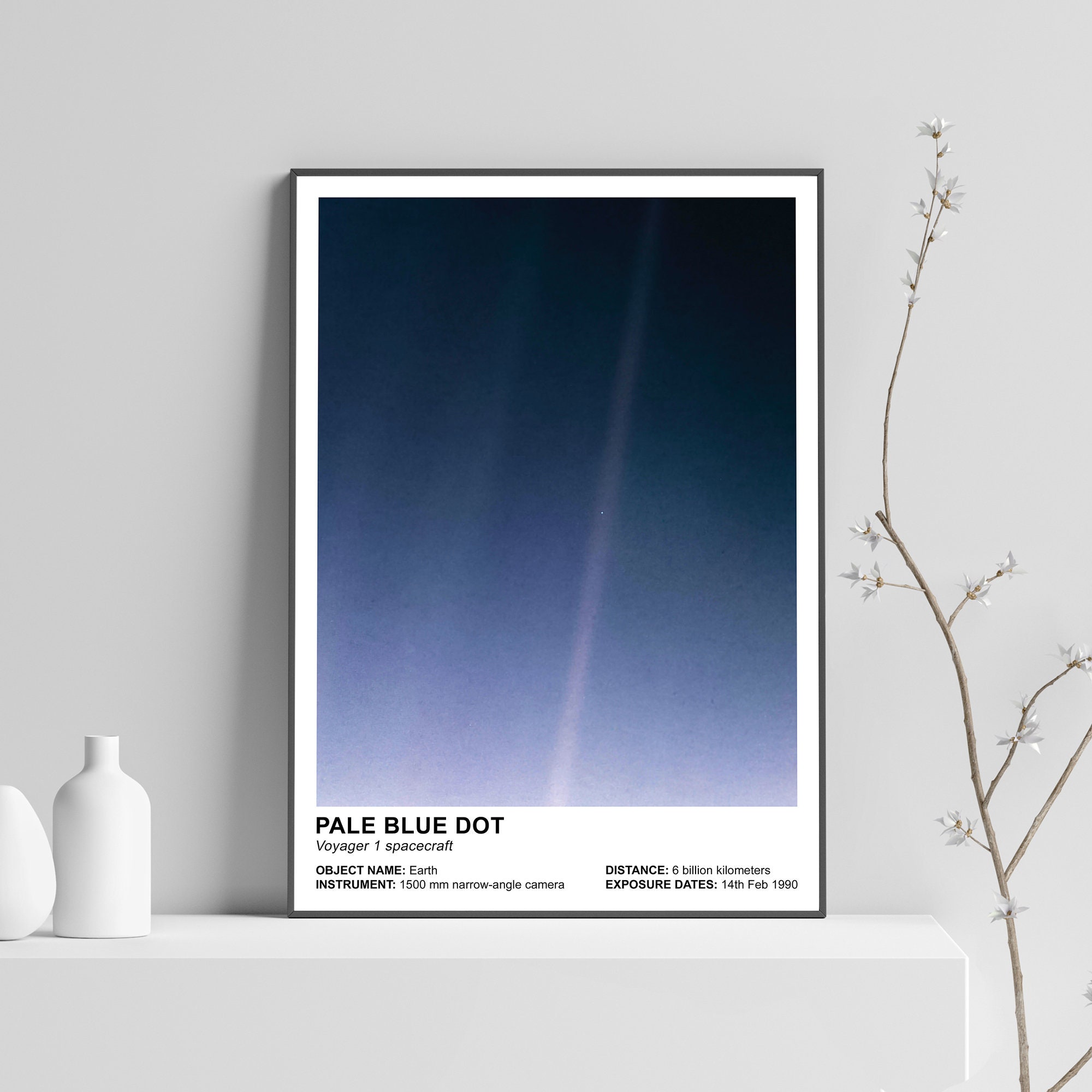 Pale Blue Dot Poster, Space Poster, Voyager 1, Carl Sagan, Astronomy ...