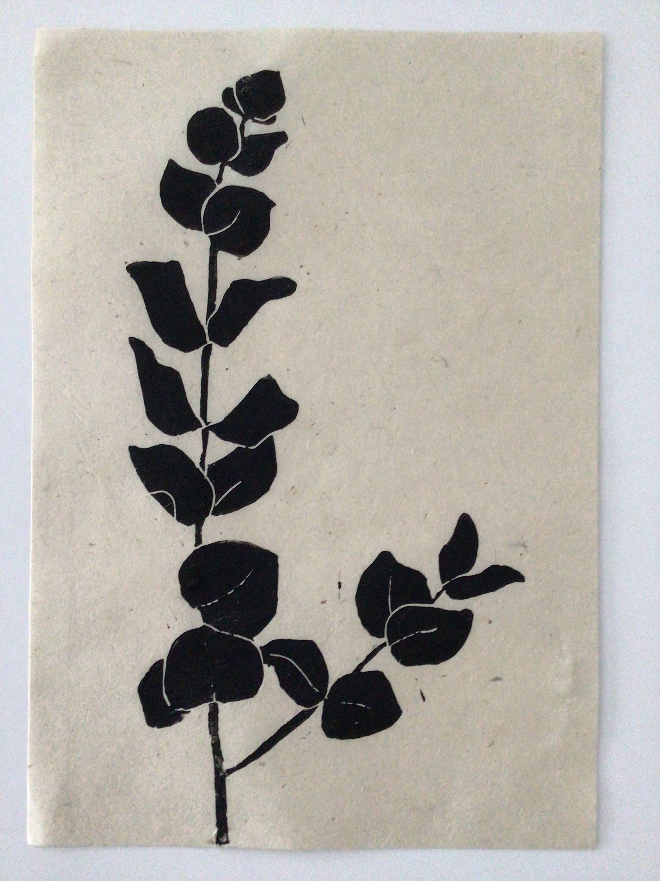 Eucalyptus Lino Print - Etsy UK