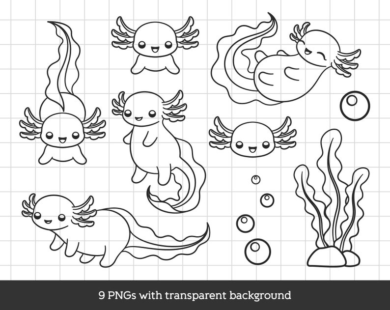Axolotl Line Art Clipart. Salamander Outline. Cute Axolotl - Etsy Ireland