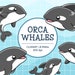 Orca Clipart, Orca Whale Clipart, Killer Whales Clip Art, Marine Animal ...
