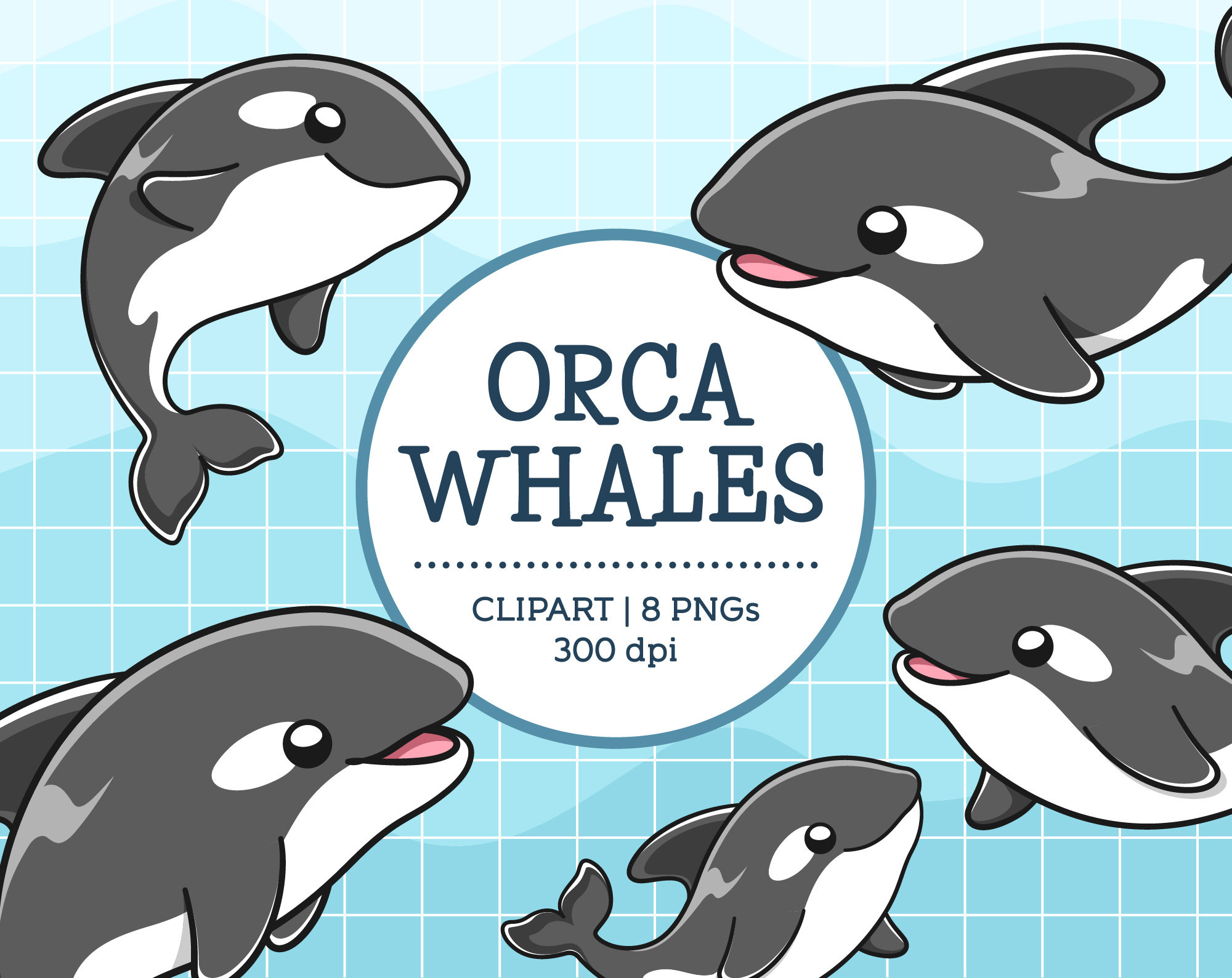 Killer Whales Attack Baby Whale Clipart