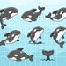 Orca Clipart, Orca Whale Clipart, Killer Whales Clip Art, Marine Animal ...