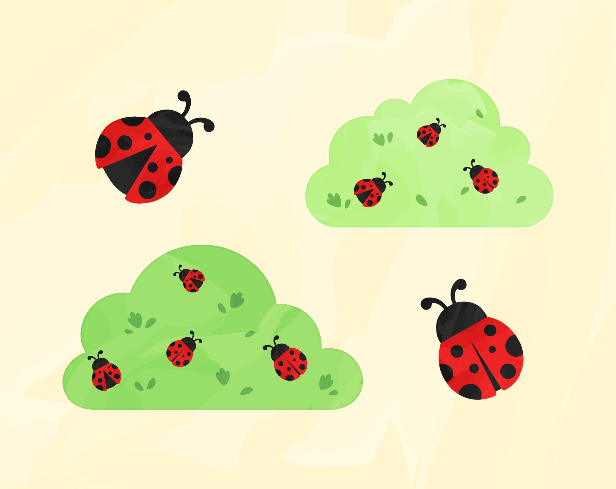 Ladybug Frame Clipart, Watercolor Border Clip Art, Spring Garden ...