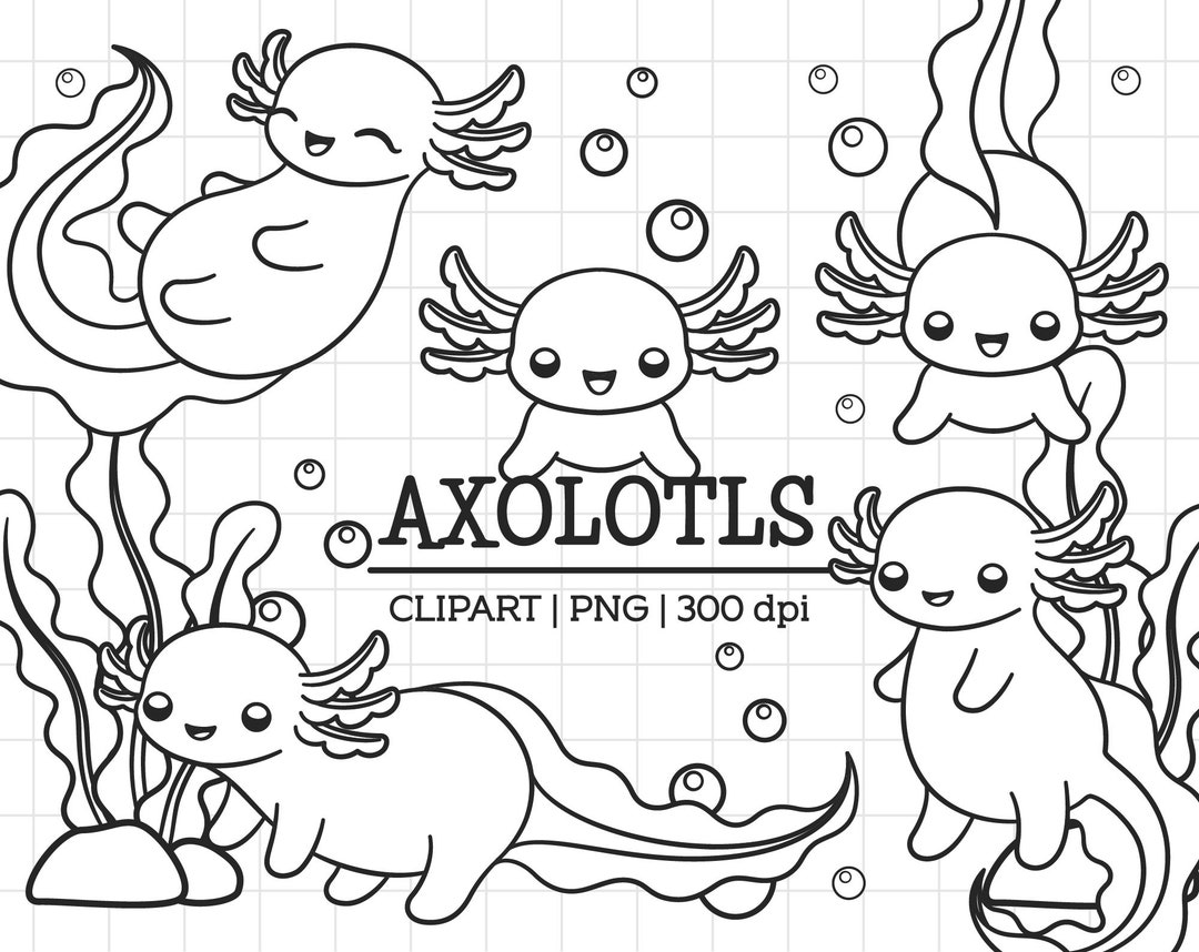Axolotl Line Art Clipart. Salamander Outline. Cute Axolotl Digital ...