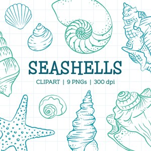 Seashells Hand Drawn Line Art Clipart Bundle. Abstract Shells Doodle ...