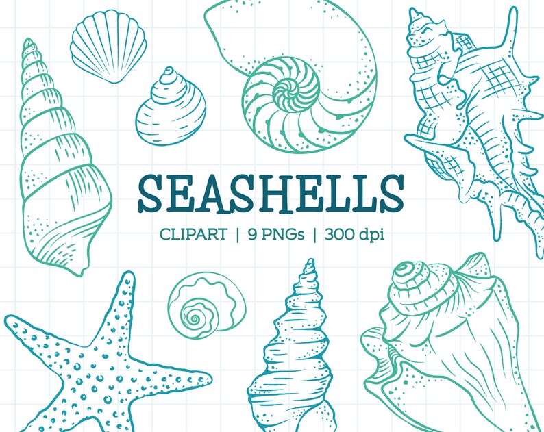 Seashells Hand Drawn Line Art Clipart Bundle. Abstract Shells Doodle ...