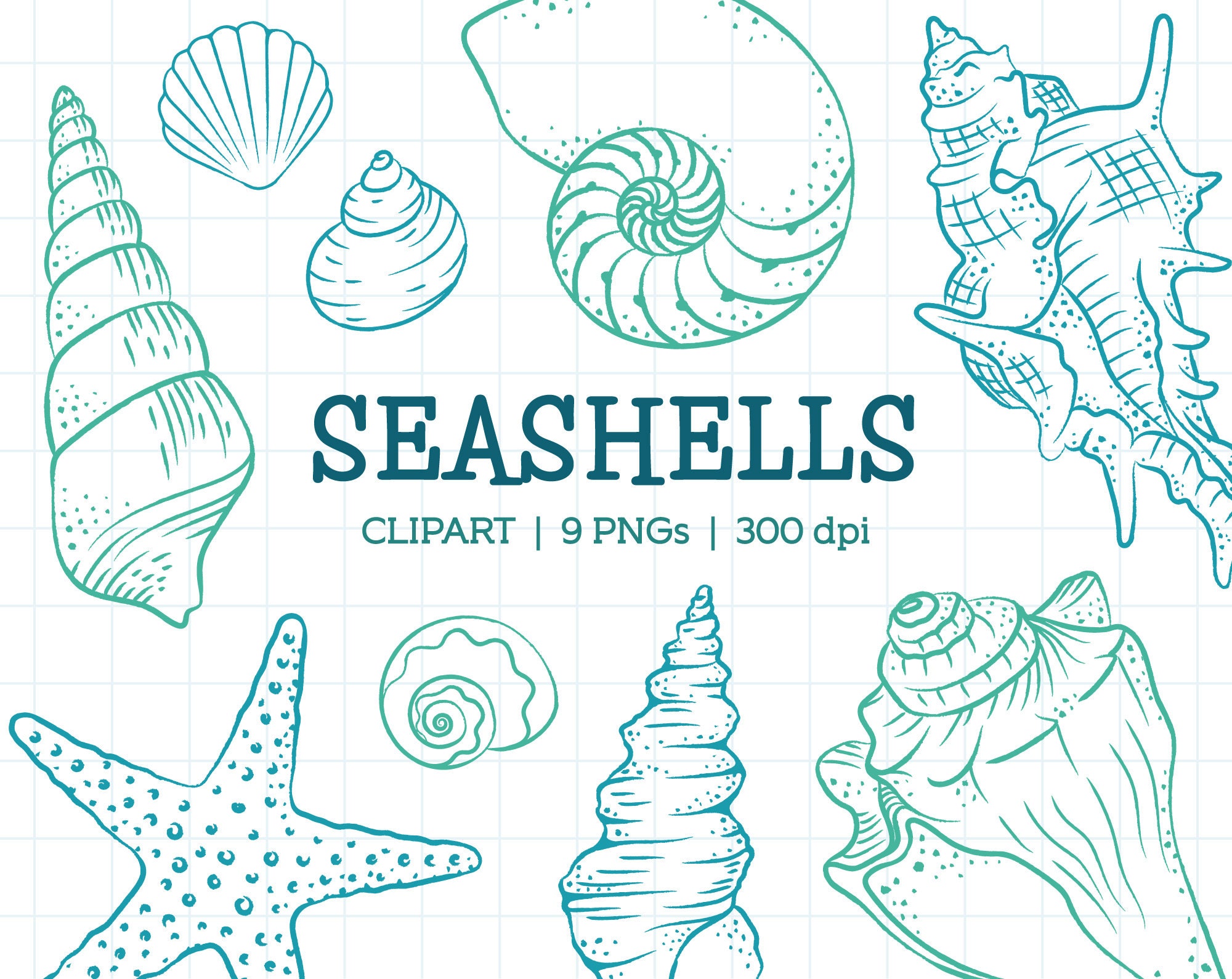 Seashells Hand Drawn Line Art Clipart Bundle. Abstract Shells Doodle ...