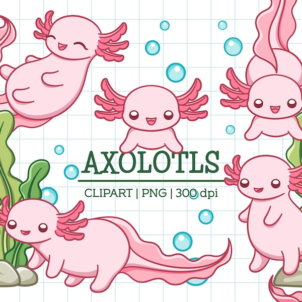Cute Axolotl Kawaii - Etsy
