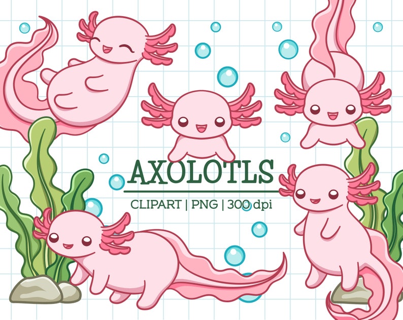 Axolotl Clipart, Cute Axolotl Clip Art. Printable Stickers. for ...