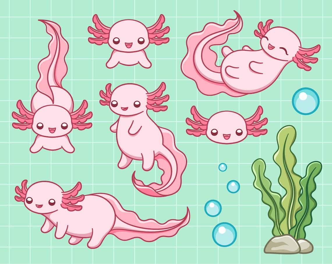 Buy Axolotl Clipart, Cute Axolotl Clip Art. Printable Stickers. for ...