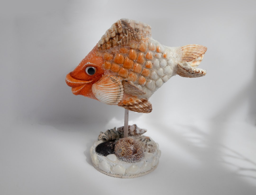 Magnet Fish Made of Shells/fish on Base. - Etsy