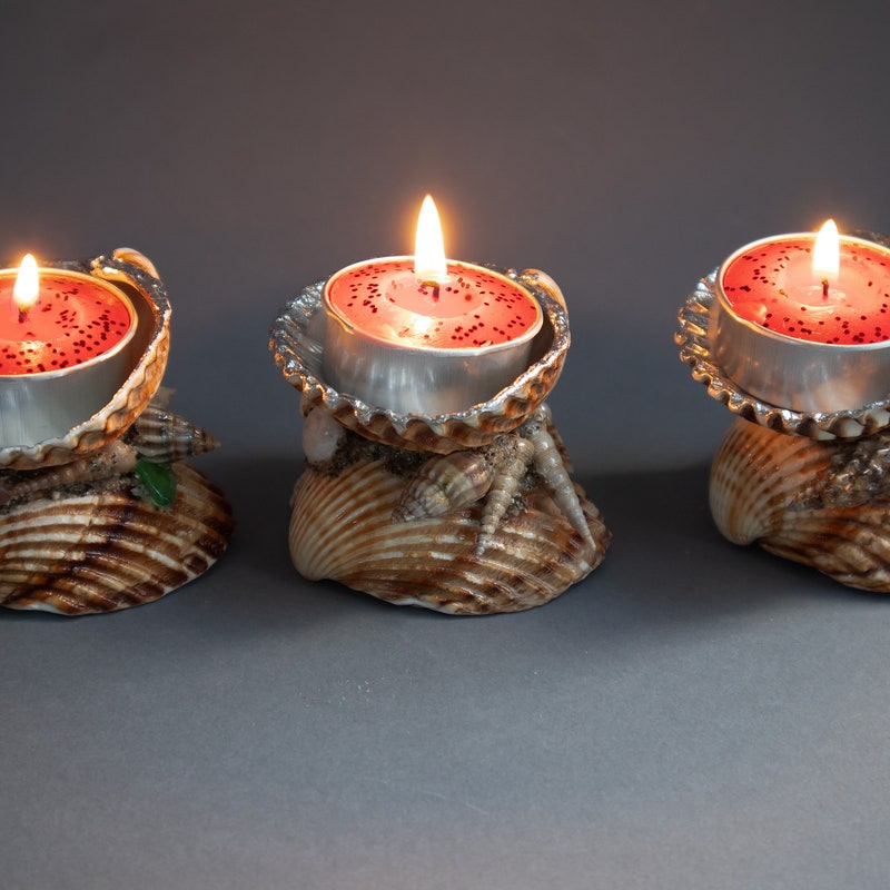 Shell Candle Holder - Etsy