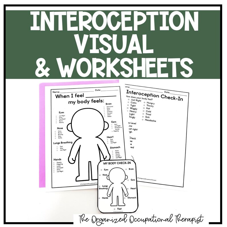 Emotional Regulation Visuals for Kids | Self-regulation Check-in ...