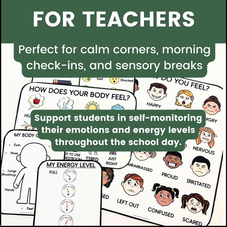 Emotional Regulation Visuals for Kids | Self-regulation Check-in ...