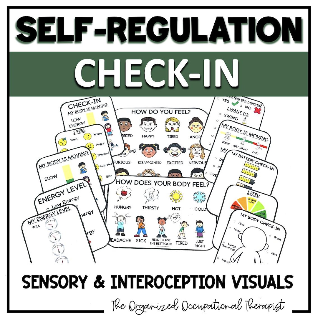 Emotional Regulation Visuals for Kids | Self-regulation Check-in ...