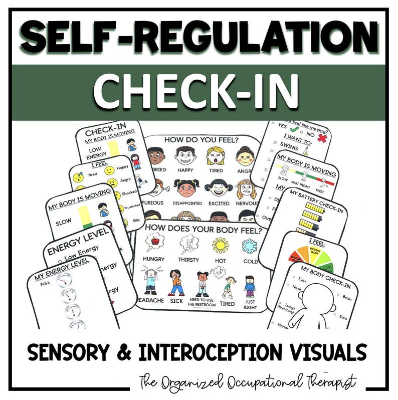 Emotional Regulation Visuals for Kids | Self-regulation Check-in ...