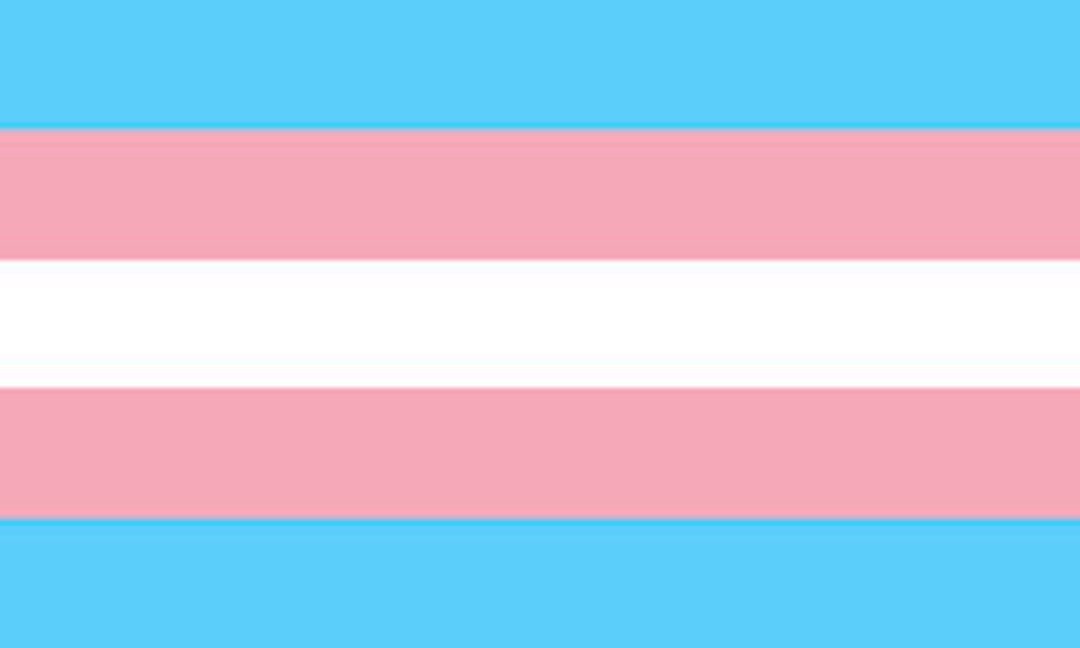 Transgender Pride Flag, Sticker, Decal, 5 Yr Vinyl, Lgbtq Pride Flag ...