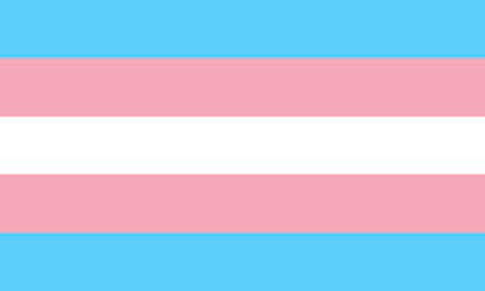 Transgender Pride Flag, Sticker, Decal, 5 Yr Vinyl, Lgbtq Pride Flag ...