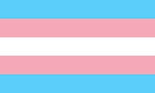 Transgender Pride Flag Sticker Decal 5 Yr Vinyl Lgbtq - Etsy