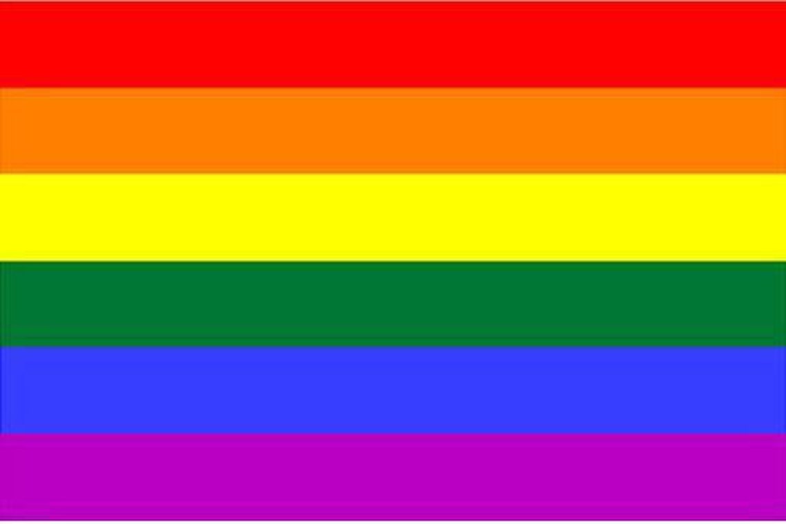 LGBT Gay Pride Rainbow Flag Car Decal / Sticker 5yr - Etsy