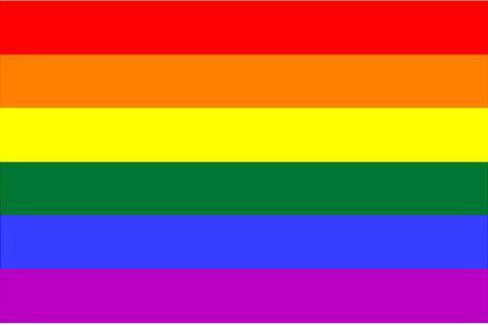 LGBT Gay Pride Rainbow Flag Car Decal / Sticker 5yr - Etsy