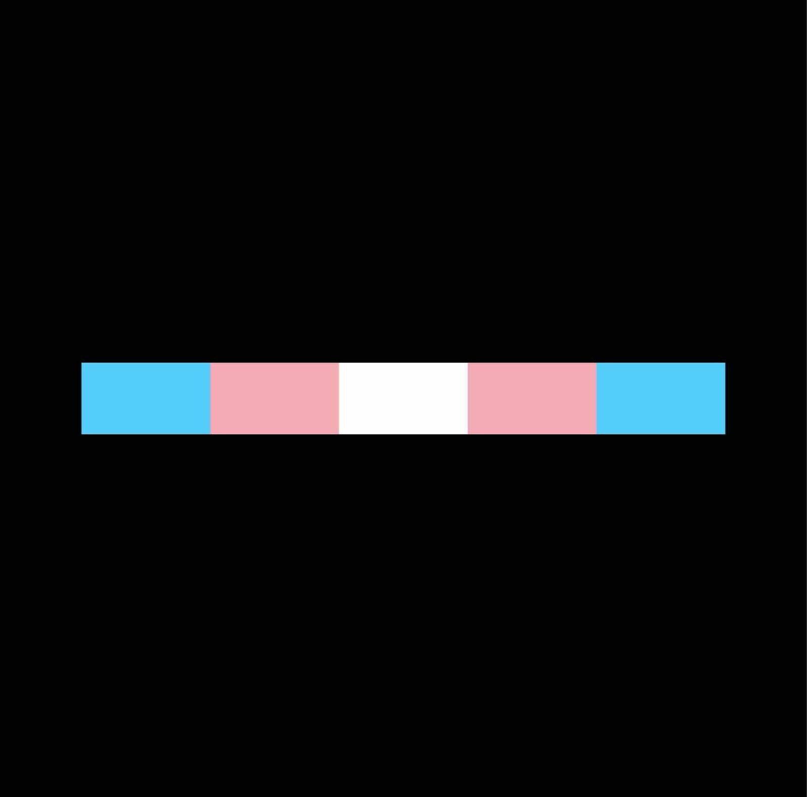 1"x9" Transgender Pride Flag, Sticker, Decal, 5 Yr Vinyl, Lgbtq Pride ...