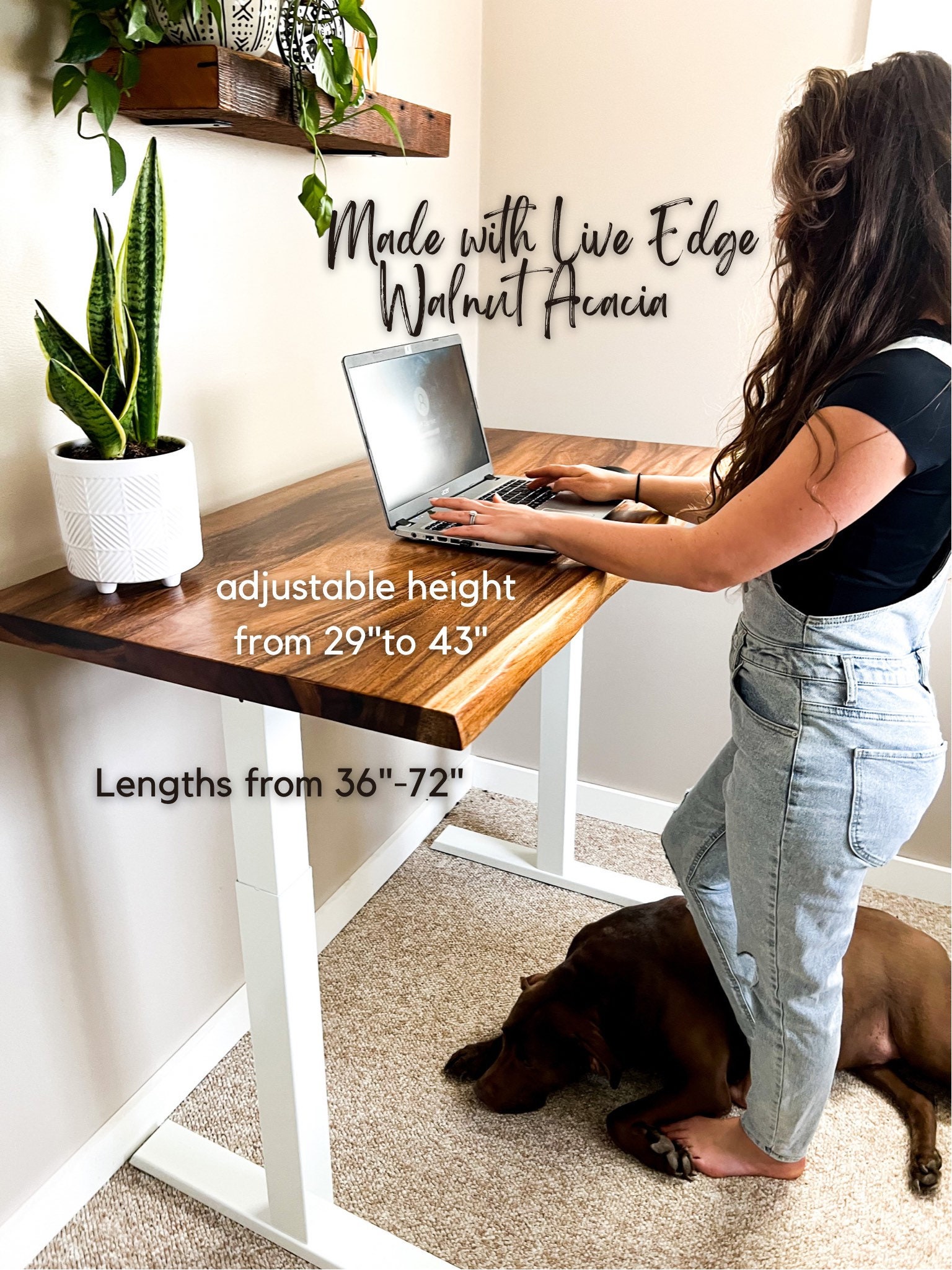 Adjustable Height Standing Desk | Live Edge Desk Modern Contemporary ...