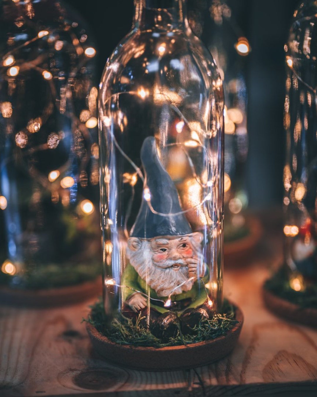 Gnome Light up Bottle With Fairy String Lights - Etsy