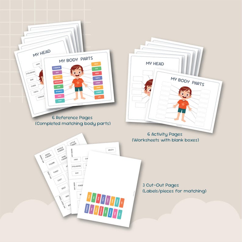 Human Body Parts Worksheet | Anatomy Matching Game | Educational ...