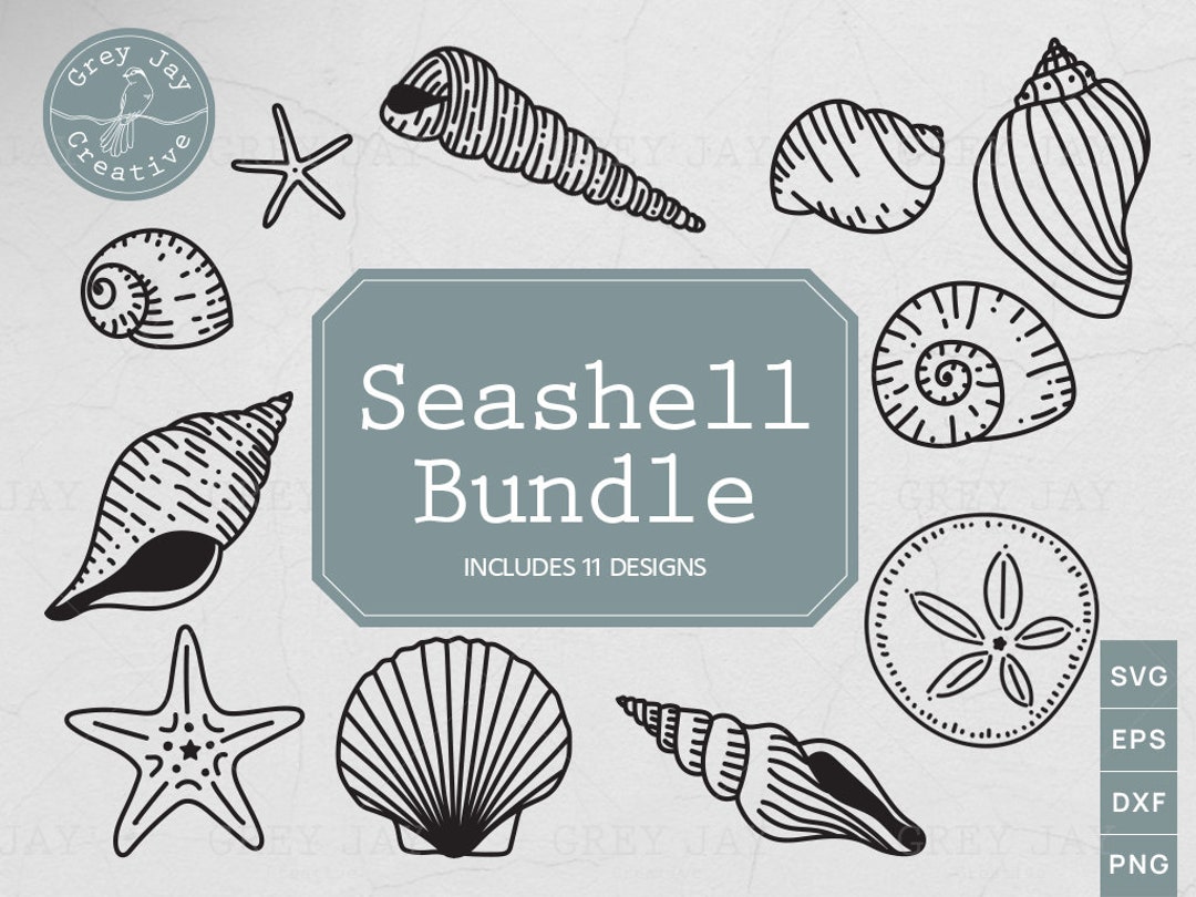 Seashell Bundle SVG, Seashell Bundle Cut Files, Shells, Starfish, Sand ...