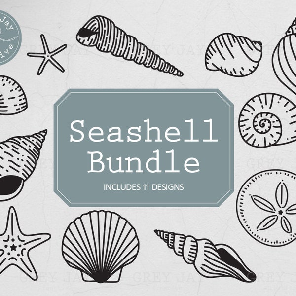 Sand Dollar Clip Art - Etsy