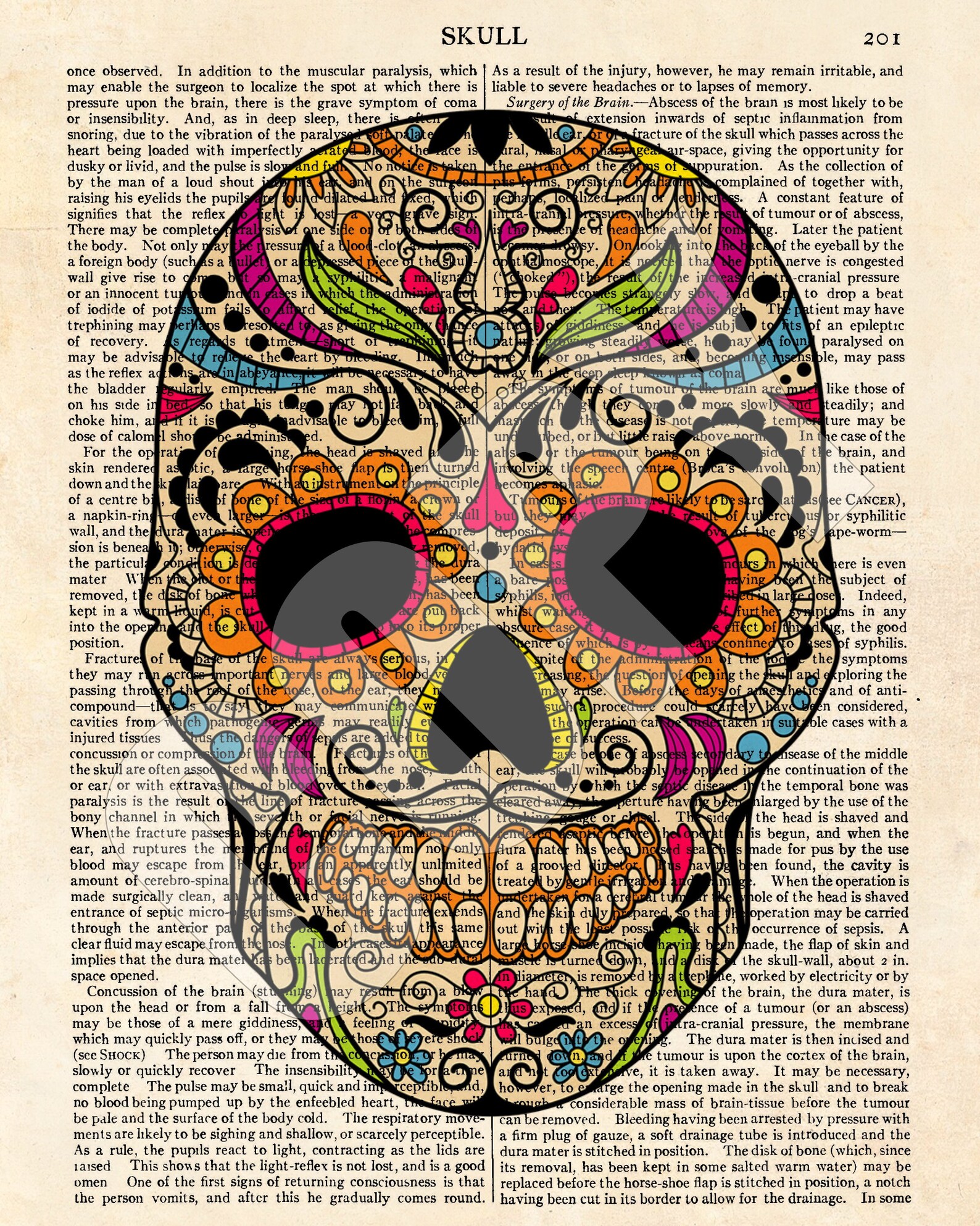 Sugar Skull Skull Art Skull Print Halloween Dictionary Etsy Uk