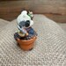 Mary Moo Moos - "peek-a-moo" Flower Pot 1996 - Etsy