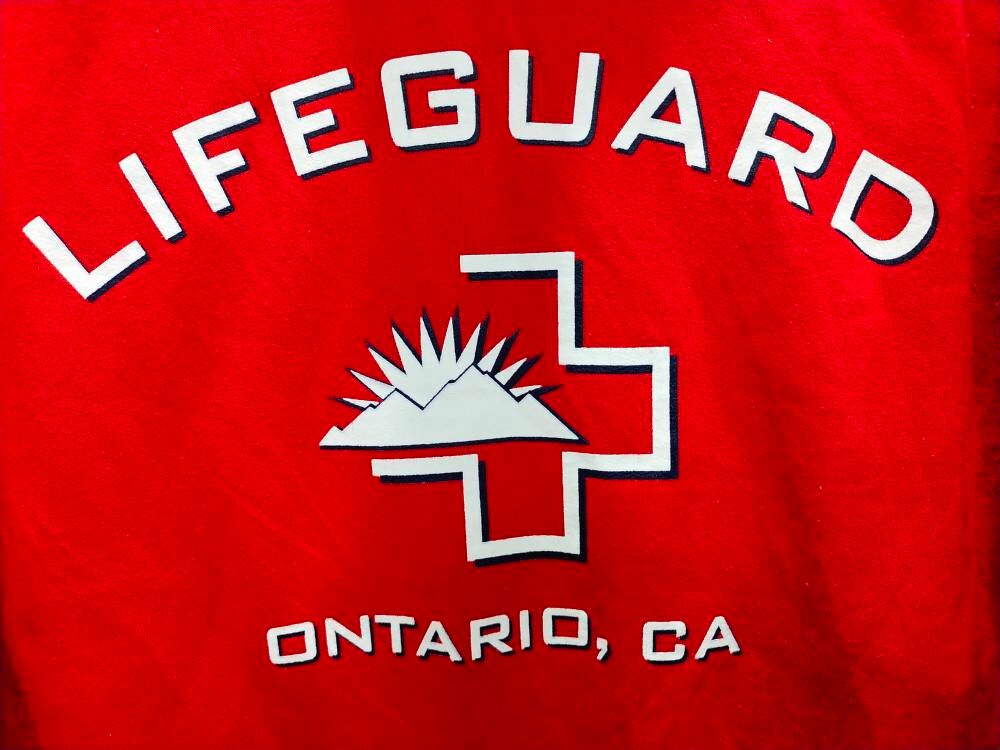 LIFEGUARD Ontario Canada Hoodie Big Spellout - Etsy