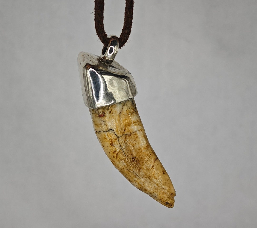 Large Hunter Amulet / Beast Tooth / Ancient Early Medieval Amulets With ...