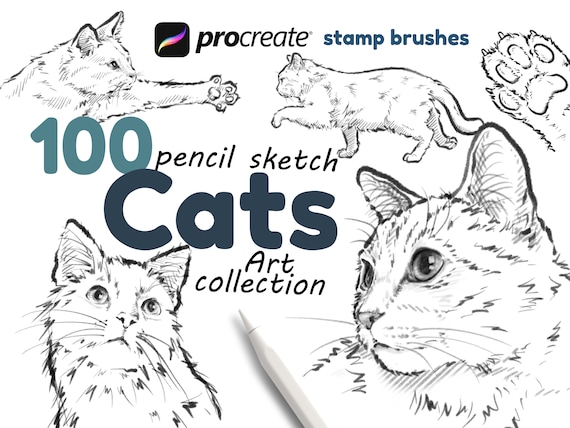 Procreate Cats Brushes 100 Cats Sketch Collection Cat Stamp - Etsy