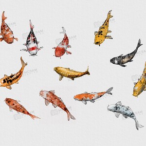 Procreate Koi Fish Stamp Dual Brushes, Koi Fish Stamps - Etsy