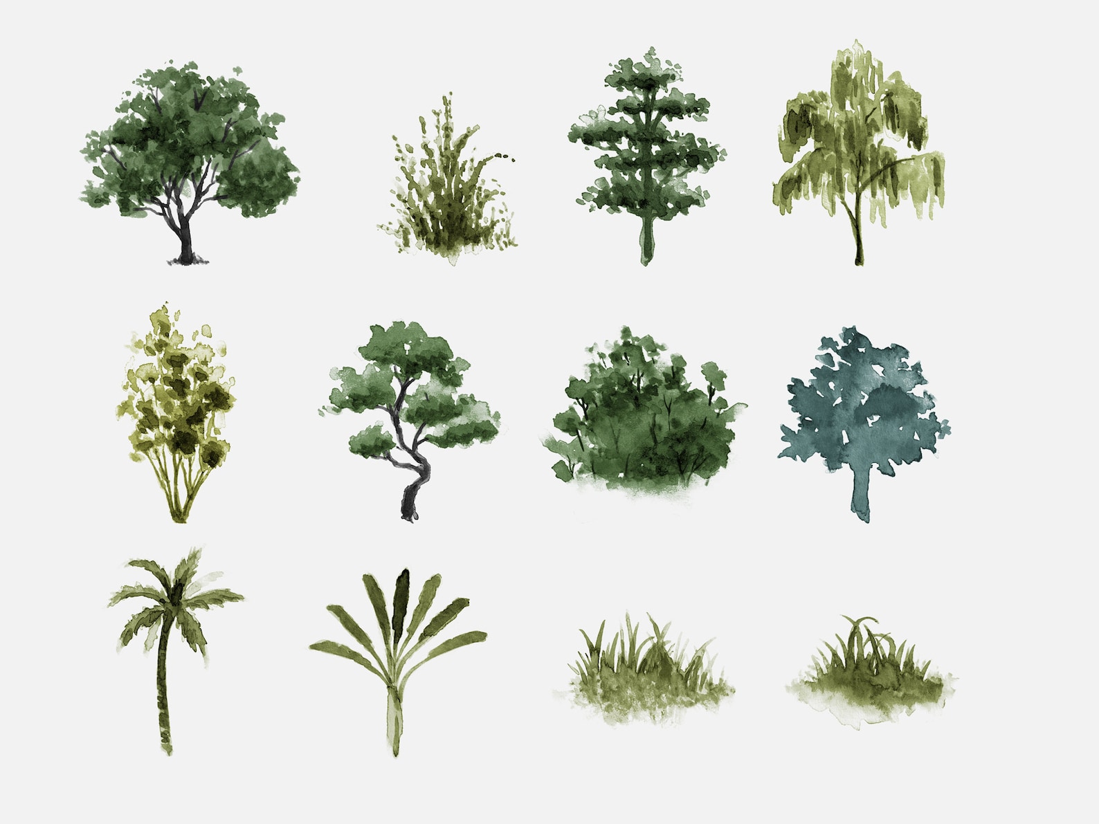 Procreate Tree Stamps Dual Brushes Bushes Grass Botanical - Etsy