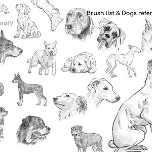 Procreate Dogs Brushes, 100 Dogs Sketch, Dog Stamp Brushes， Pose ...
