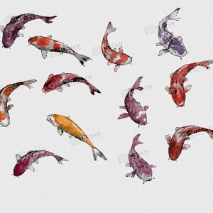 Procreate Koi Fish Stamp Dual Brushes, Koi Fish Stamps - Etsy
