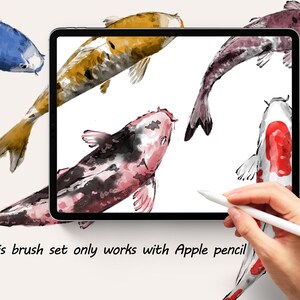 Procreate Koi Fish Stamp Dual Brushes, Koi Fish Stamps - Etsy