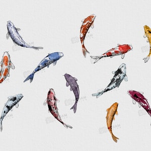 Procreate Koi Fish Stamp Dual Brushes, Koi Fish Stamps - Etsy
