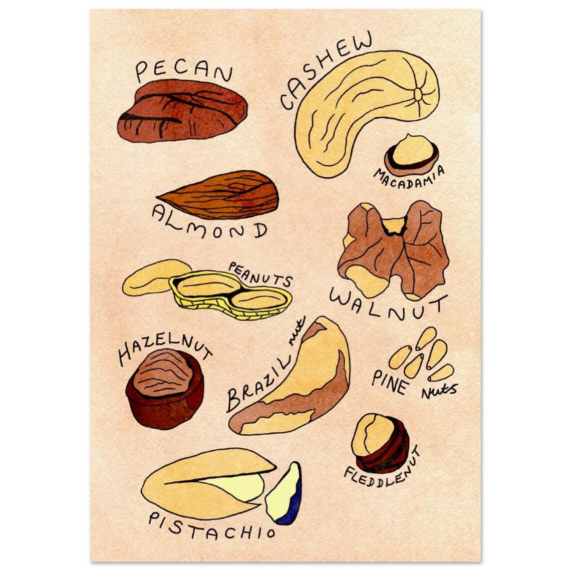 Nuts for Nuts Art Print - Etsy