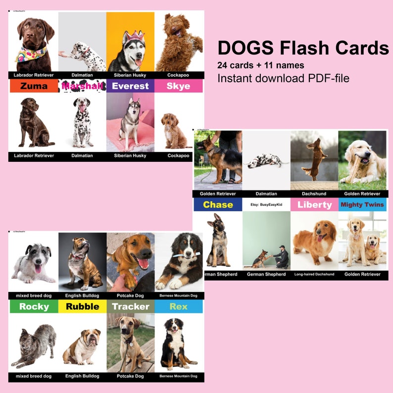 Dog Breed Card Montessori Paw Flashcards Pdf Printable Preschool ...