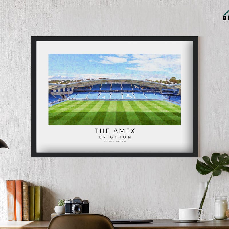 Brighton Albion Framed - Etsy UK