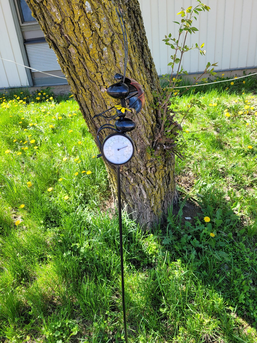 Metal Ant Thermometer Stake With Unbrella. - Etsy