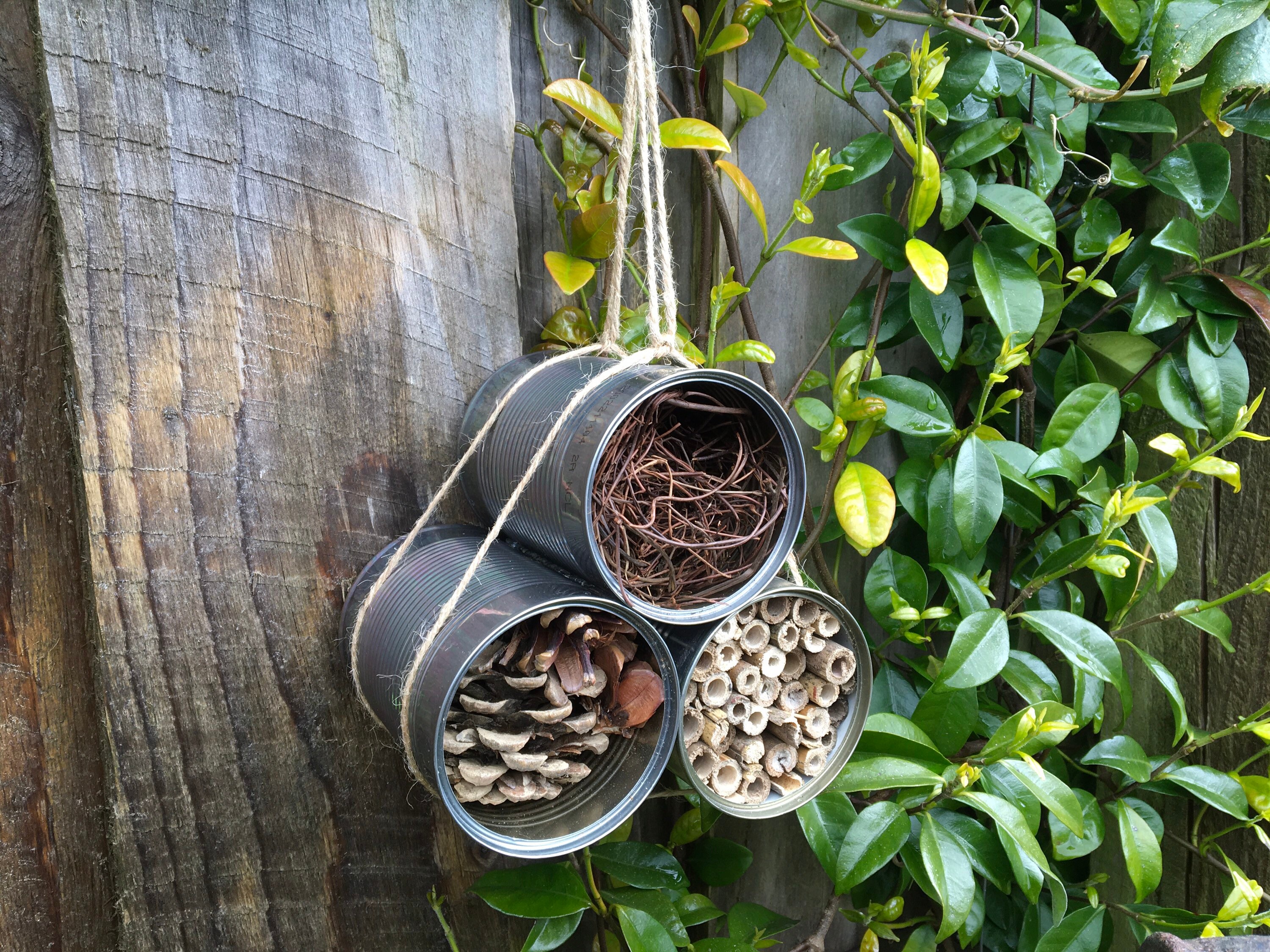 Bug Hotel Insect House. Made From Recycled Materials. 10 Year - Etsy
