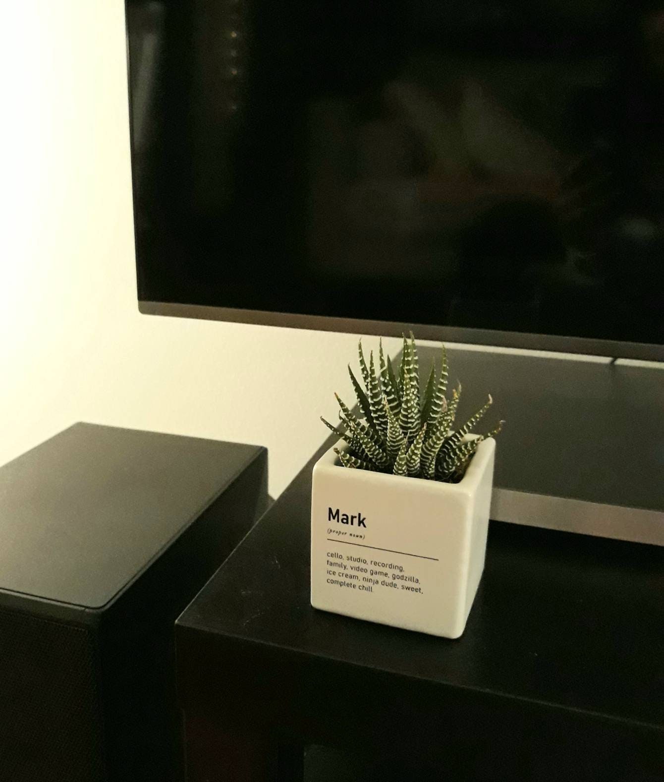 Personalized Name Definition Planter Pot Custom Name - Etsy