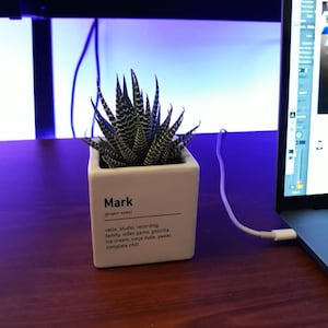 Personalized Name Definition Planter Pot | Custom Name Definition Pot ...